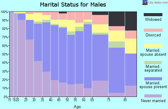 11418 Zip Code (New York, New York) Profile - homes, apartments ...
