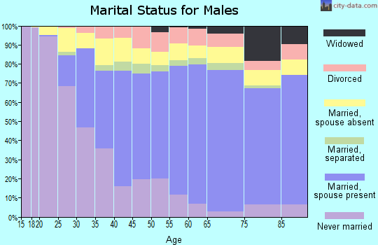 11419 Zip Code (New York, New York) Profile - homes, apartments ...