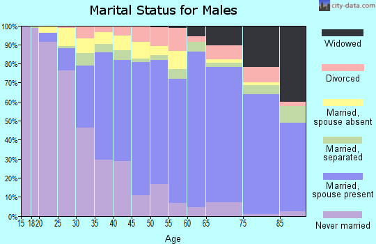 11420 Zip Code (New York, New York) Profile - homes, apartments ...