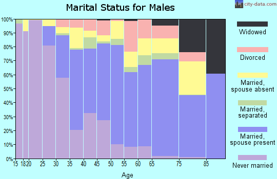 11422 Zip Code (New York, New York) Profile - homes, apartments ...