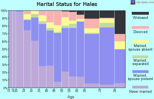 11423 Zip Code (New York, New York) Profile - homes, apartments ...