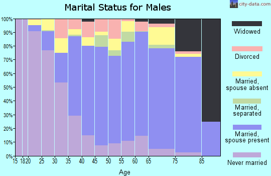 11428 Zip Code (New York, New York) Profile - homes, apartments ...