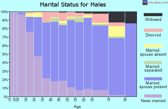 11552 Zip Code (West Hempstead, New York) Profile - homes, apartments ...