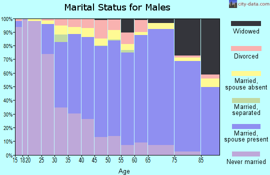 11554 Zip Code (East Meadow, New York) Profile - homes, apartments ...