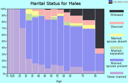 11563 Zip Code (Lynbrook, New York) Profile - homes, apartments ...