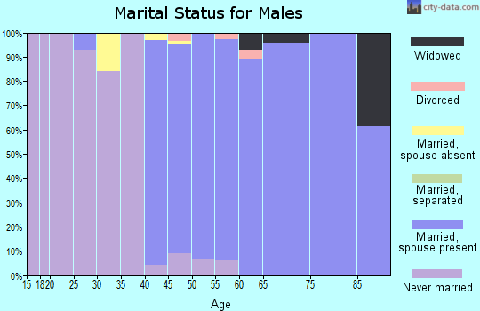 11568 Zip Code (Old Westbury, New York) Profile - homes, apartments ...