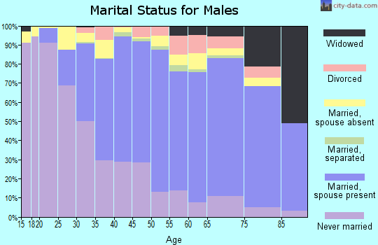 11590 Zip Code (Westbury, New York) Profile - homes, apartments ...