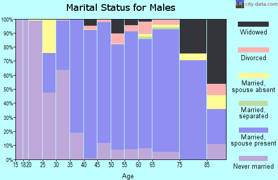 11598 Zip Code (Woodmere, New York) Profile - homes, apartments ...