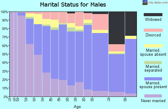 11706 Zip Code (Bay Shore, New York) Profile - homes, apartments ...