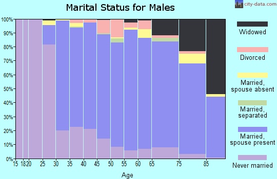 11710 Zip Code (Bellmore, New York) Profile - homes, apartments ...