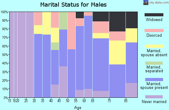 11719 Zip Code (Brookhaven, New York) Profile - homes, apartments ...