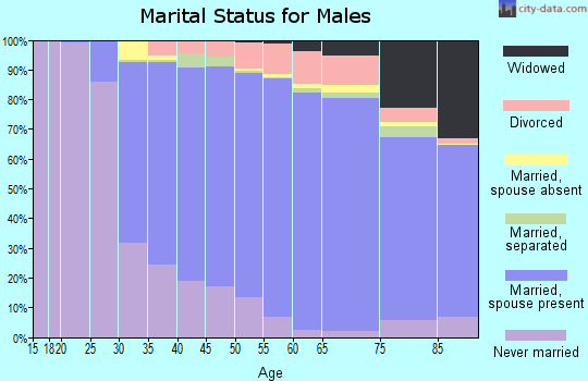 11758 Zip Code (Massapequa, New York) Profile - homes, apartments ...