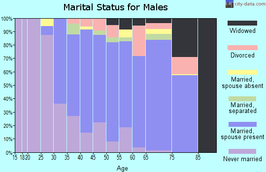 11778 Zip Code (Rocky Point, New York) Profile - homes, apartments ...