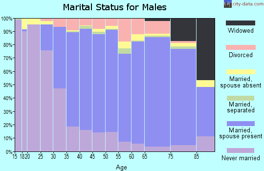 11787 Zip Code (Smithtown, New York) Profile - homes, apartments ...
