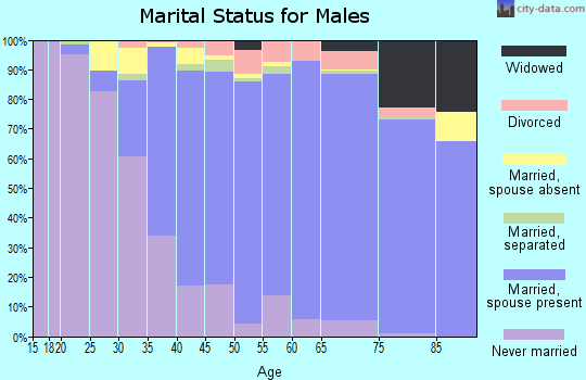 11801 Zip Code (Hicksville, New York) Profile - homes, apartments ...