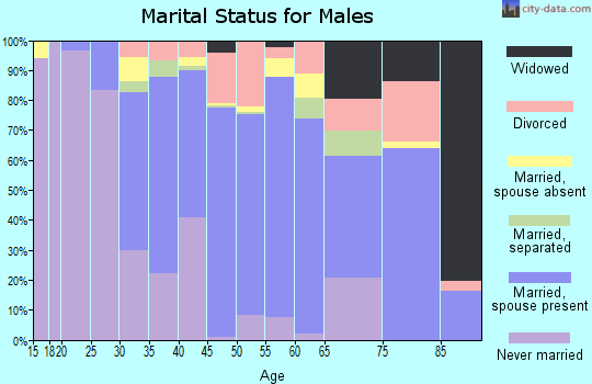 11950 Zip Code (Mastic, New York) Profile - homes, apartments, schools ...