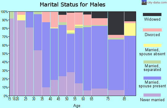 11953 Zip Code (Middle Island, New York) Profile - homes, apartments ...