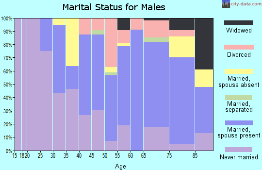 12167 Zip Code (Stamford, New York) Profile - homes, apartments ...