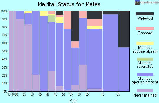 12170 Zip Code (Stillwater, New York) Profile - homes, apartments ...