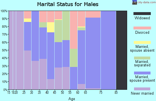 12173 Zip Code (New York) Profile - homes, apartments, schools ...