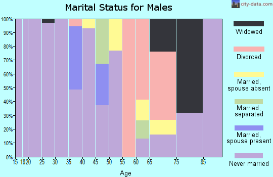 12207 Zip Code (Albany, New York) Profile - homes, apartments, schools ...