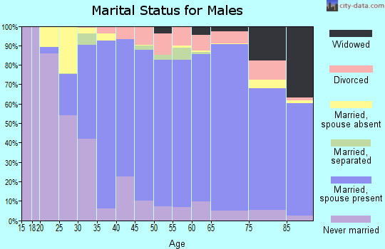 12309 Zip Code (Schenectady, New York) Profile - homes, apartments ...