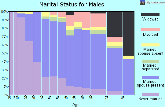 12553 Zip Code (New Windsor, New York) Profile - homes, apartments ...