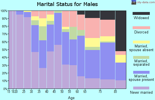 13205 Zip Code (Syracuse, New York) Profile - homes, apartments ...