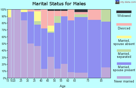 13224 Zip Code (Syracuse, New York) Profile - homes, apartments ...