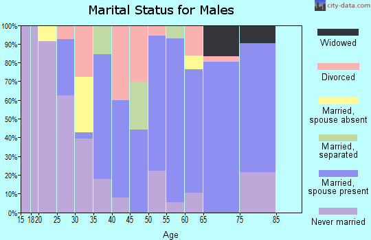 13812 Zip Code (Nichols, New York) Profile - homes, apartments, schools ...
