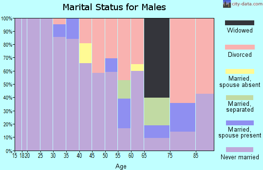 14203 Zip Code (Buffalo, New York) Profile - homes, apartments, schools ...
