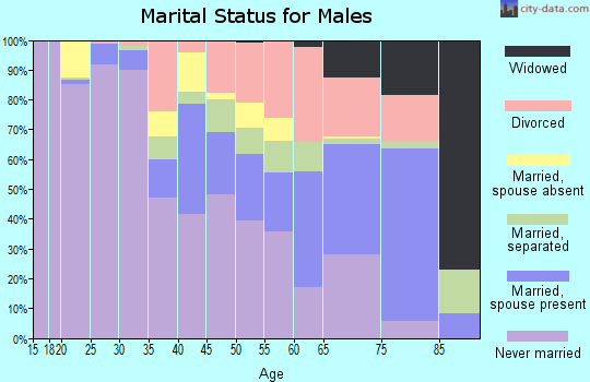 14611 Zip Code (Rochester, New York) Profile - homes, apartments ...