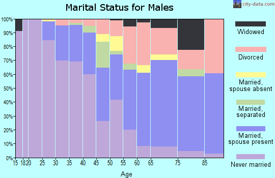 15211 Zip Code (Pittsburgh, Pennsylvania) Profile - homes, apartments ...