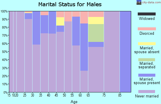 20036 Zip Code (Washington, District of Columbia) Profile - homes ...
