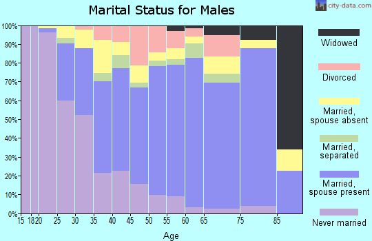 20110 Zip Code (Manassas, Virginia) Profile - homes, apartments ...