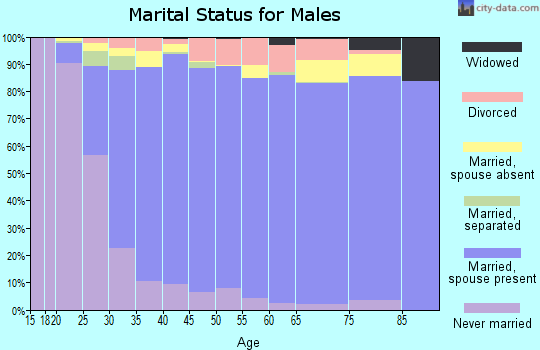 20147 Zip Code (Ashburn, Virginia) Profile - homes, apartments, schools ...