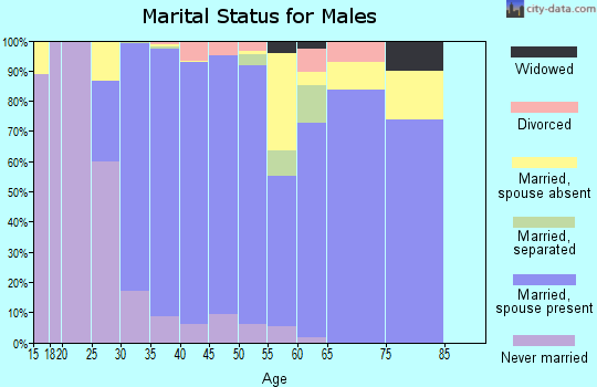 20148 Zip Code (Brambleton, Virginia) Profile - homes, apartments ...