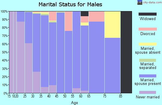 20152 Zip Code (South Riding, Virginia) Profile - homes, apartments ...