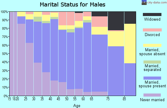 20170 Zip Code (Herndon, Virginia) Profile - homes, apartments, schools ...