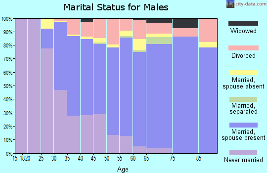 20191 Zip Code (Reston, Virginia) Profile - homes, apartments, schools ...