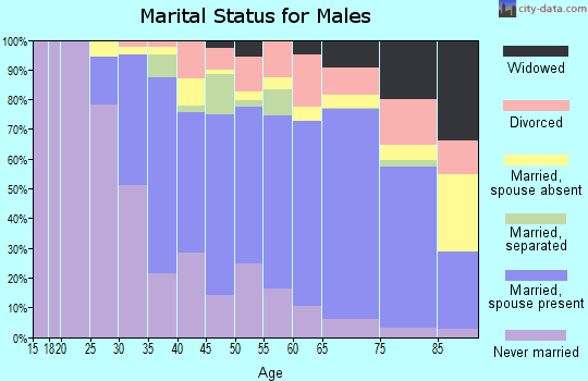 21133 Zip Code (Randallstown, Maryland) Profile - homes, apartments ...