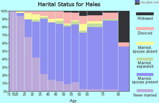 22193 Zip Code (Dale City, Virginia) Profile - homes, apartments ...