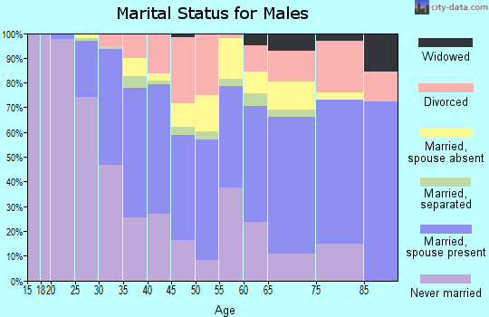 22202 Zip Code (Arlington, Virginia) Profile - homes, apartments ...