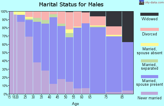 23235 Zip Code (Bon Air, Virginia) Profile - homes, apartments, schools ...