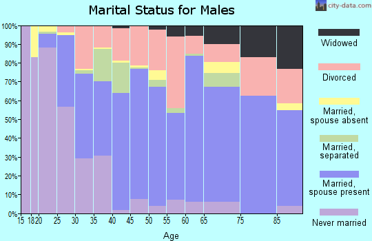 24210 Zip Code (Abingdon, Virginia) Profile - homes, apartments ...