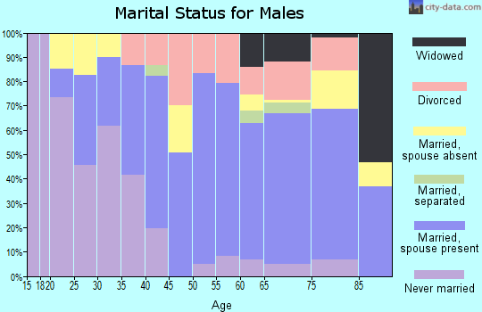 28778 Zip Code (Swannanoa, North Carolina) Profile - homes, apartments ...