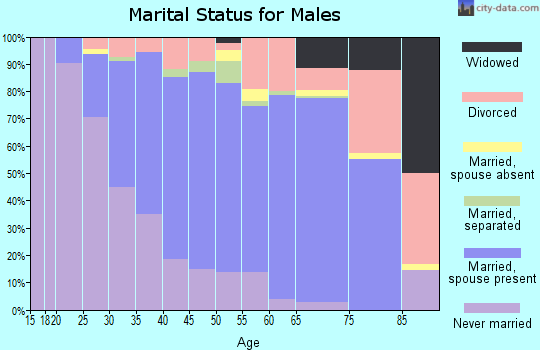 33510 Zip Code (Brandon, Florida) Profile - homes, apartments, schools ...
