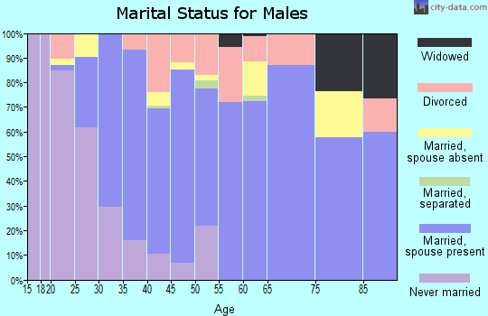 33544 Zip Code (Wesley Chapel, Florida) Profile - homes, apartments ...