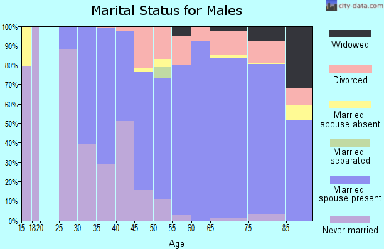 34242 Zip Code (Siesta Key, Florida) Profile - homes, apartments ...