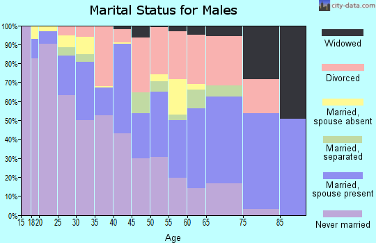 44306 Zip Code (Akron, Ohio) Profile - homes, apartments, schools ...
